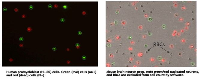L20001- LUNA-FL™ Automated Fluorescence Cell Counter- Logos BioSystem ...