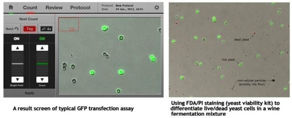L20001- LUNA-FL™ Automated Fluorescence Cell Counter- Logos BioSystem ...