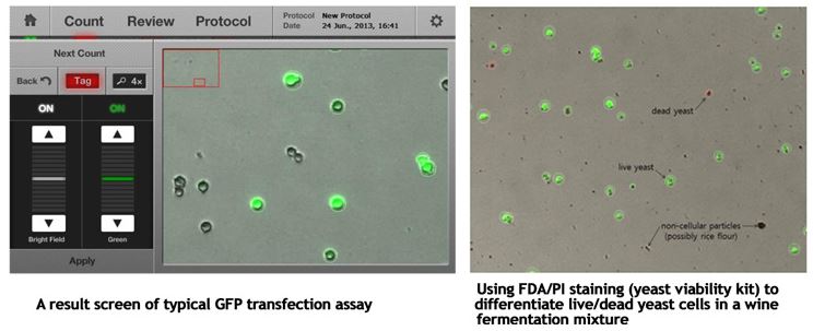 L20001- LUNA-FL™ Automated Fluorescence Cell Counter- Logos BioSystem ...