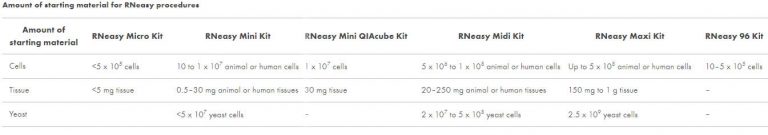 74116-RNeasy Mini QIAcube Kit (240)- Qiagen » EAD SCIENTIFIC